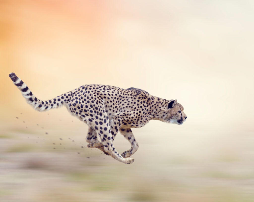 Ittiam News | Find all the Latest Buzz | Ittiam Systems